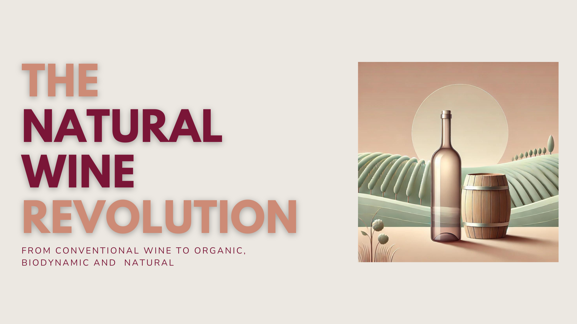 Natural Wine vs Conventional, Organic & Biodynamic: Discover the Difference – Terrawine Club