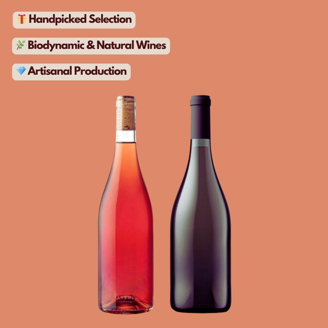 Monthly Wine Subscription | Natural Italian Wines Delivered – Terrawine ...